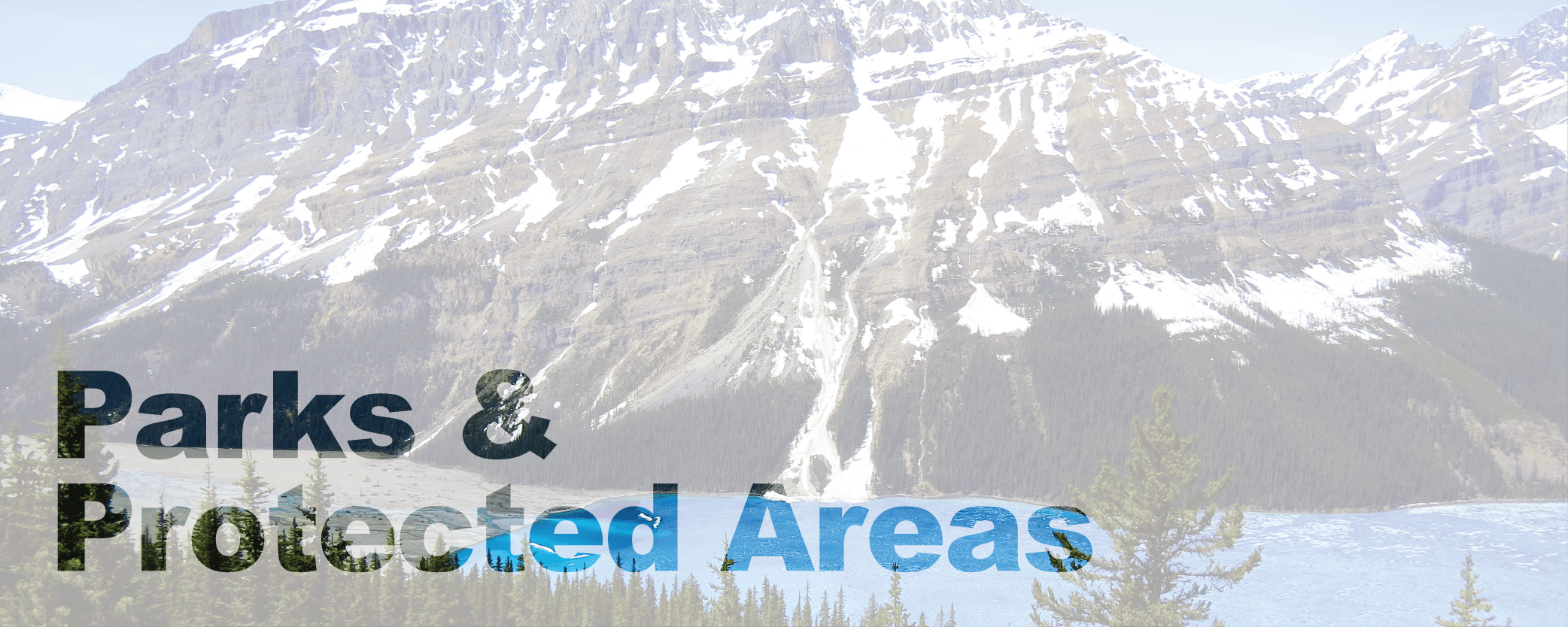 Parks & Protected Areas | CPAWS Northern Alberta