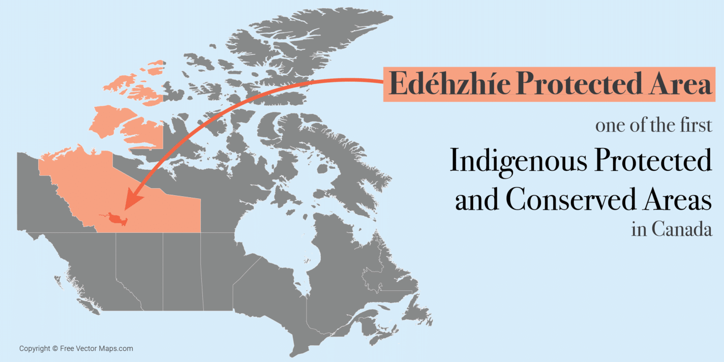 A Spotlight in Indigenous-led Conservation: The Edéhzhíe Indigenous ...