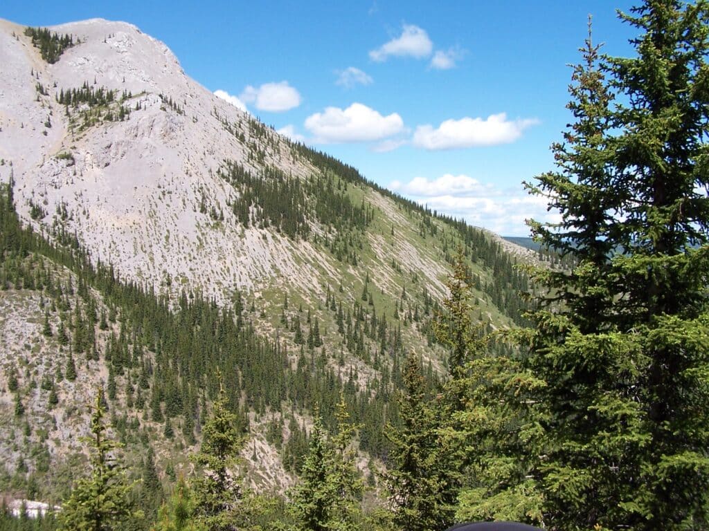 What is Mine 14 and why does it matter? - CPAWS Northern Alberta Chapter