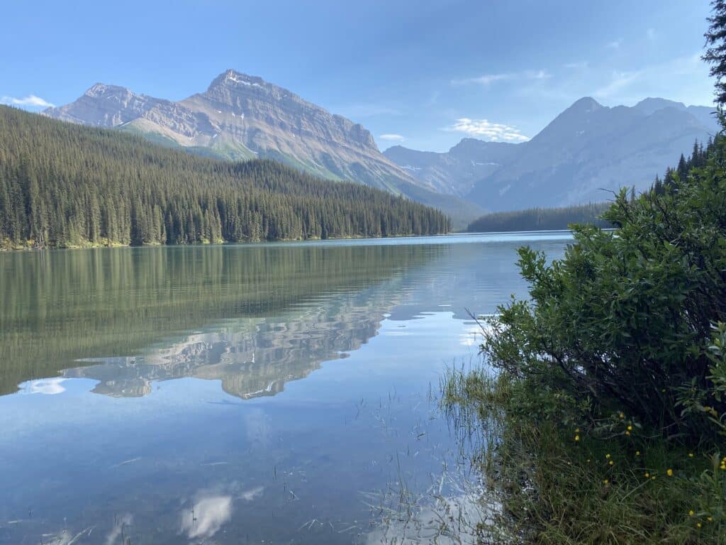 Government of Alberta adds 1,400 hectares of new protected areas ...