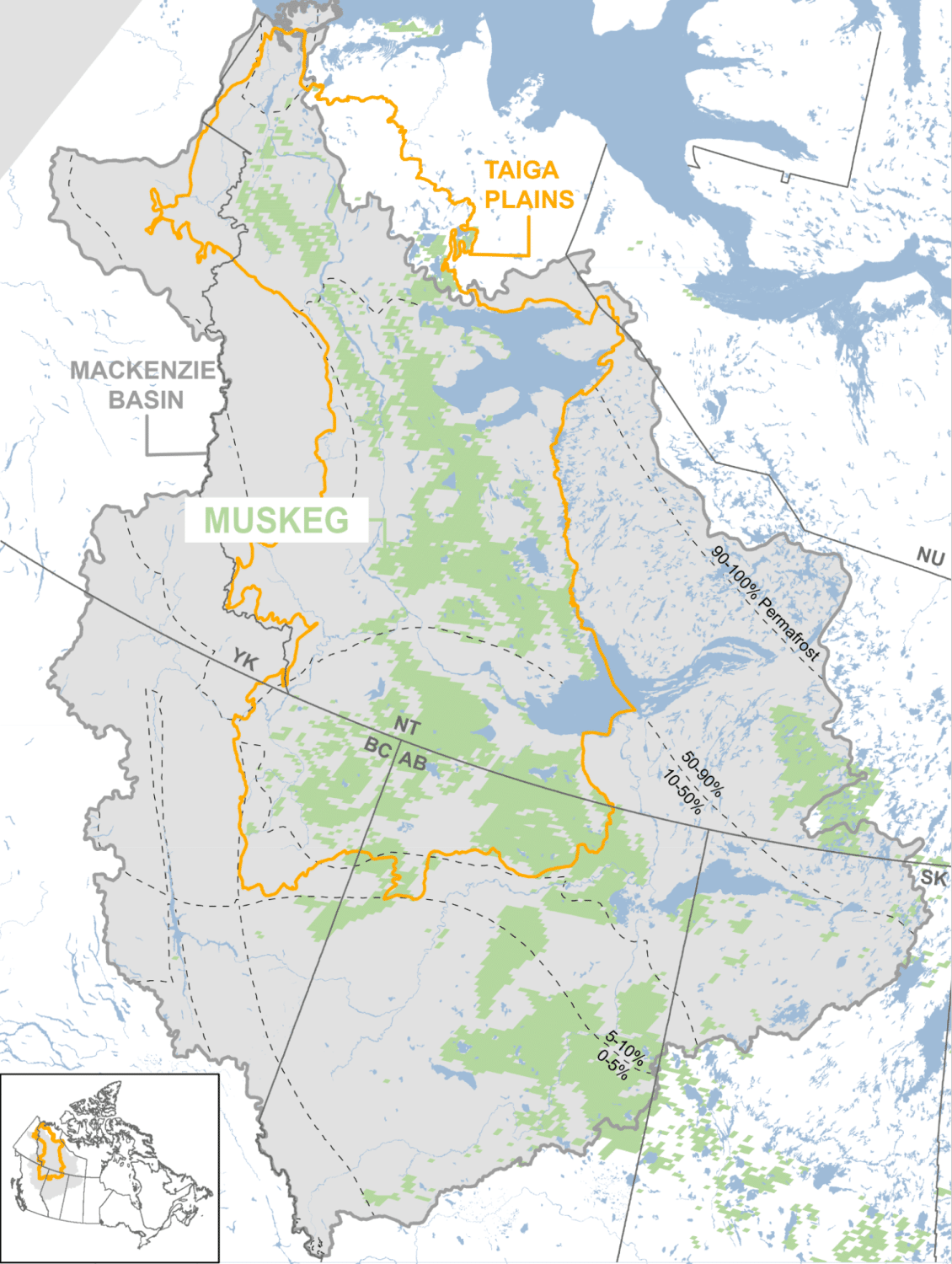 Meet Peat: A climate, biodiversity, and culture hero. - CPAWS Northern ...